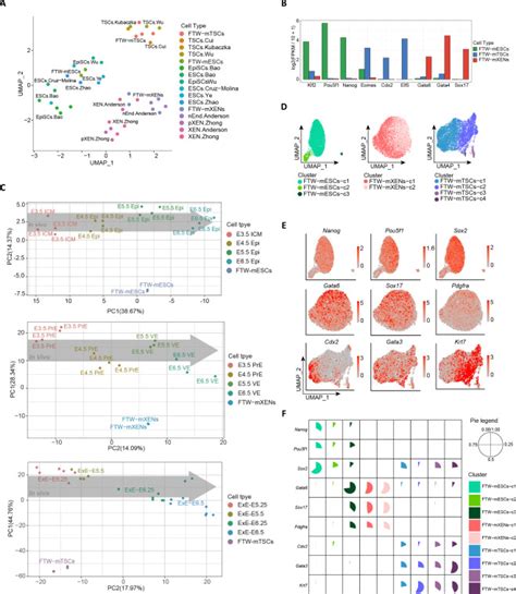 Dissecting Embryonic And Extraembryonic Lineage Crosstalk With Stem Cell Co Culture Cell
