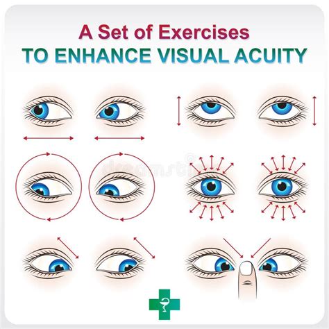Eye Exercices Guide Visuel Vecteur Illustration Illustration De Vecteur