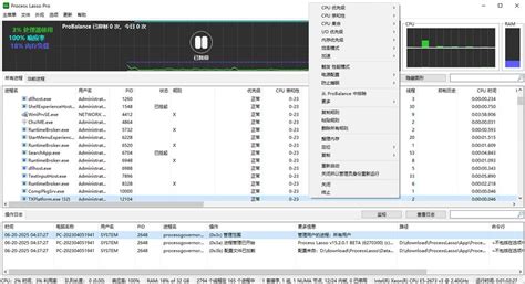 Process Lasso Pro系统进程优化工具 V170118 中文绿色激活版 电脑软件 红尘资源网