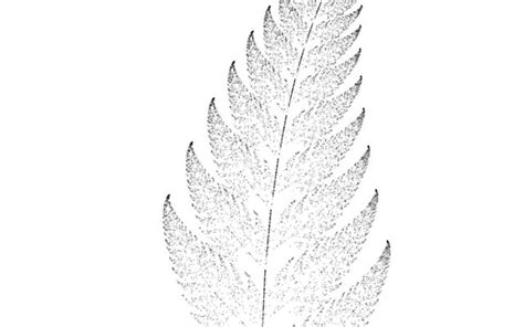 Barnsley Fern Black Spleenwort Charles Lovering Observable
