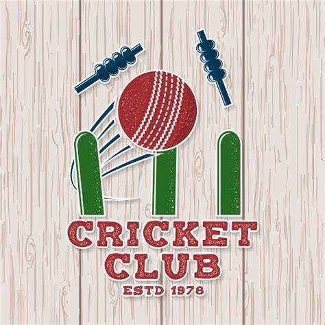 Man At Cricket Fielding Or Pitch Positions Name Vector Image