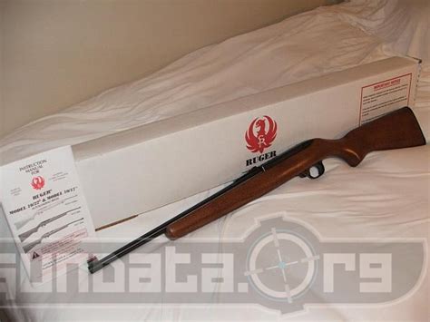 Ruger 10 22 Compact Review And Price