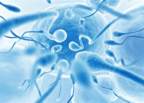 Le Top Des Aliments à Privilégier Pour Booster La Fertilité Masculine