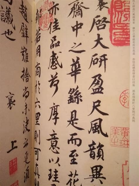 讀通鑑說汲黯君子多才不若蓄德 每日頭條