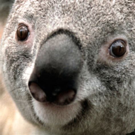 Xiaohui Lu Peking University Beijing Pku National School Of Development Research Profile