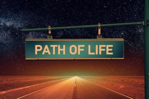 10 Major Tragedies In Life Wed All Rather Avoid
