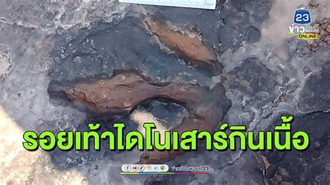 ฮือฮา พบรอยเท้าไดโนเสาร์กินเนื้อ แห่งใหม่ของประเทศไทย ในพื้นที่จังหวัด