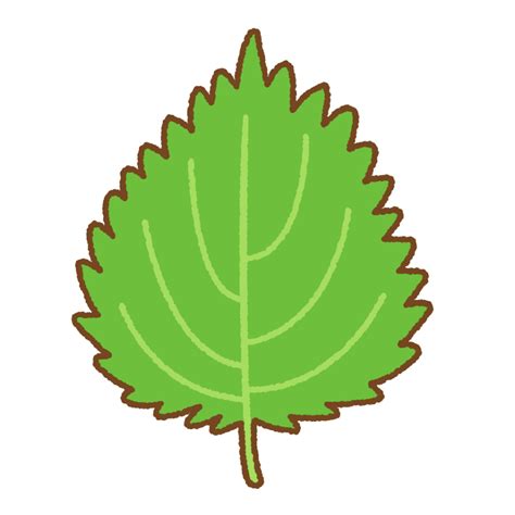 大葉のイラスト 商用OKの無料イラスト素材サイト ツカッテ