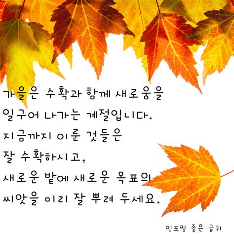 가을 인사말 모음 이미지 가을 아침 인사말 멘트