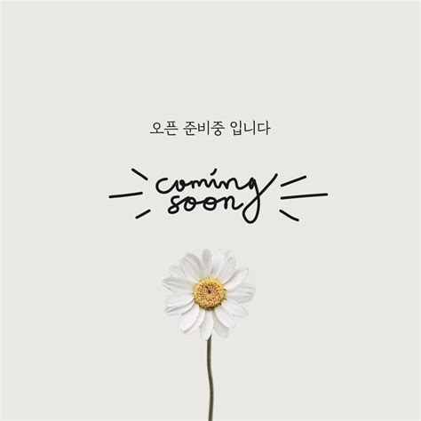 꽃 무료 이미지・디자인・샘플・템플릿 Canva캔바