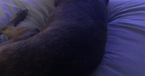 Today Was The First Day I Could Actually Function For The Most Part