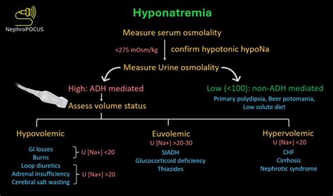 Point Of Care Ultrasound In Hyponatremia Nephropocus