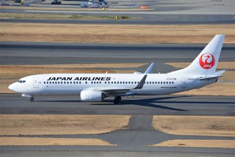 日本航空 Boeing 737 800 Ja341j 羽田空港 航空フォト By Sky101さん 撮影2017年02月03日