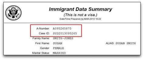A Simple Guide Where To Find Your Alien Registration Number