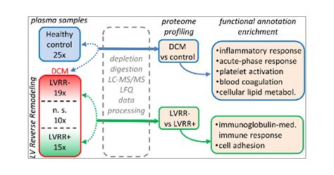 Proteomic Profiling Of Dilated Cardiomyopathy Plasma Samples