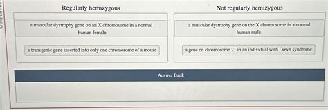 Solved Regularly Hemizygousa Muscular Dystrophy Gene On An X