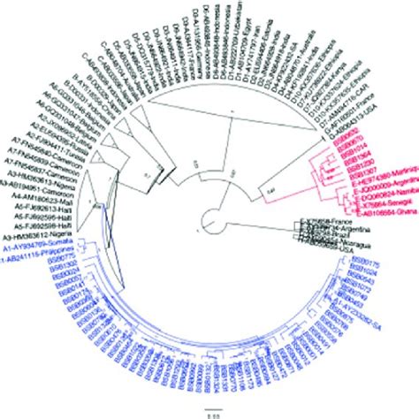 Phylogenetic Analysis Of 57 Partial Hbv Genomes From Beira Mozambique