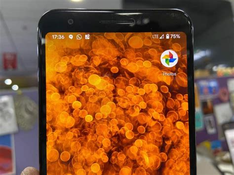 Google Photos Transfer To Gallery Zaunmaler