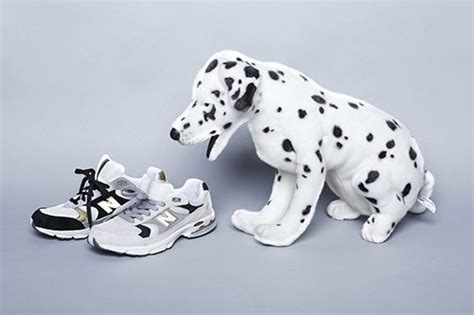 뉴발란스 달마시안 닮은 ‘880 시리즈 출시 패션서울