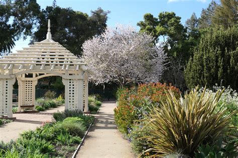 Gazebo Garden Tree Free Photo On Pixabay Pixabay