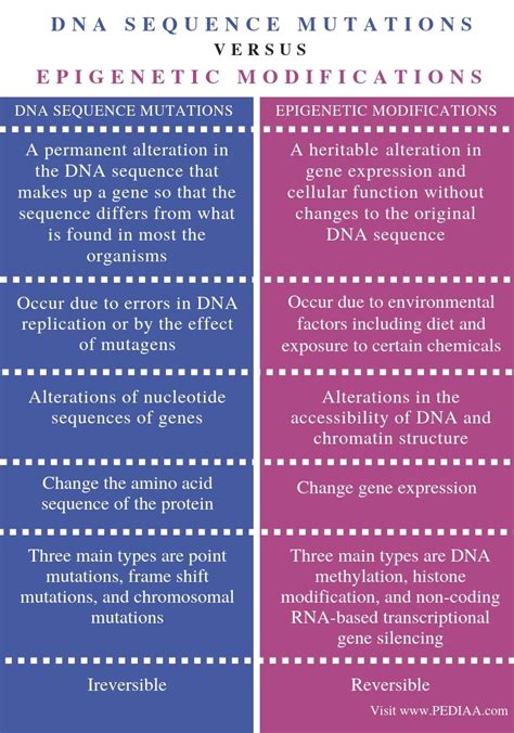 What Is The Difference Between DNA Sequence Mutations And Epigenetic