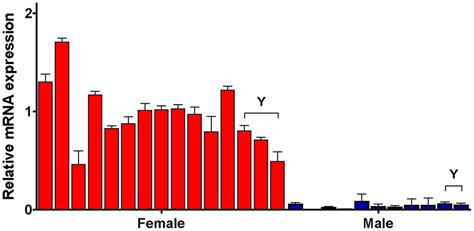 Xist Mrna Expression Of Individual In Vivo Blastocysts Each Value
