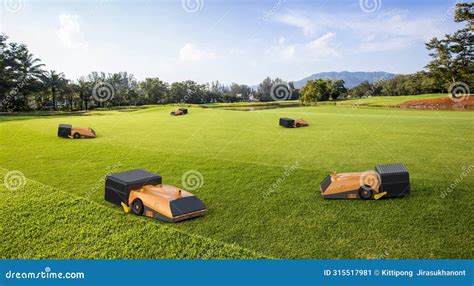 Lawn Mover On Green Grass In Modern Garden Generative Ai Royalty Free