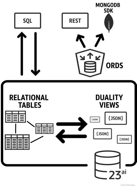 oracle database 23ai 正式发布，超级巨兽（集关系型、向量、文档、图、缓存、分布式数据库一体的全能数据库） oracle