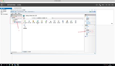 Aspnet Core Webapi 在windowsserver2016版的部署安装教程（保姆级教程 多图预警 内网级