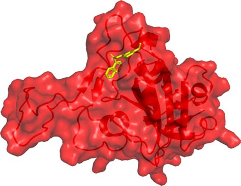 3d Diagram Of The Spike Protein Rbd In Complex With Chalcone