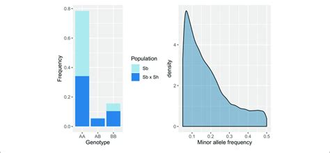 Distribution Of Snp Genotypes Left And Minor Allele Frequencies