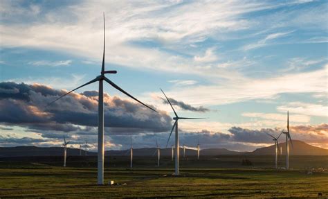 Springer Natures Net Zero Targets Validated
