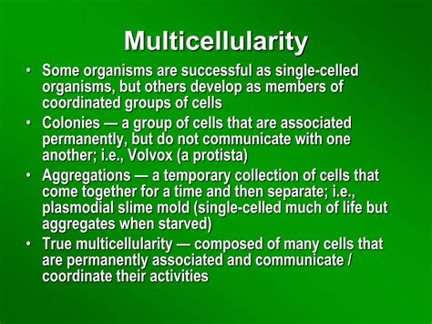 Levels Of Classification Pptx Biological Sciences Science Levels Of Classification Pptx Biological Sciences Science