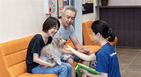 当院の考える真のホームドクターとは 夕やけの丘動物病院グループ