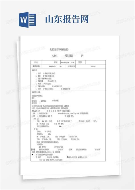 山东大学计算机网络实验报告实验三网际协议word模板下载编号qvnrydpr熊猫办公
