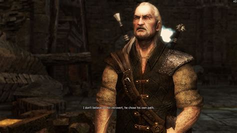 How To Install The Witcher Enhanced Edition Mods Erostrategy
