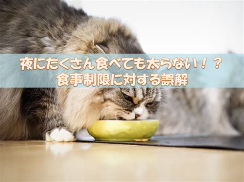 夜にたくさん食べても太りませんでした【体験談】
