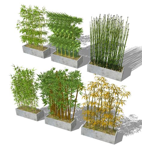中式竹子盆栽盆景 植物灌木SU模型 植物模型 精SU模型