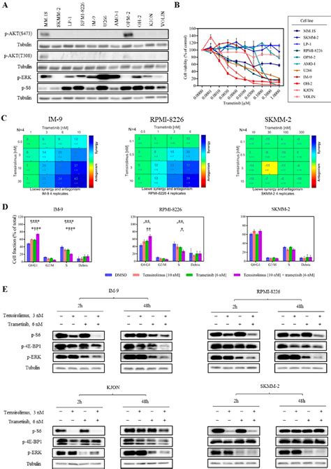 Figure 3 From Combination Treatment Targeting Mtor And Mapk Pathways