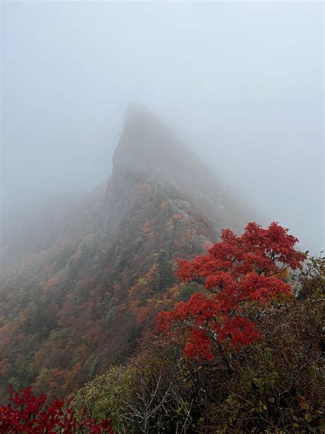 四国の百名山〜石鎚山・天狗岳・南尖峰 しろさんの石鎚山・堂ヶ森・二ノ森の活動データ Yamap ヤマップ