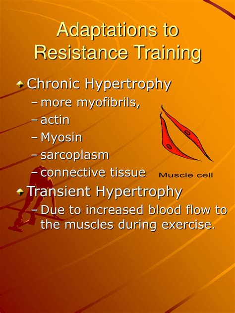 Ppt Neuromuscular Adaptations To Resistance Training Powerpoint Presentation Id1186832