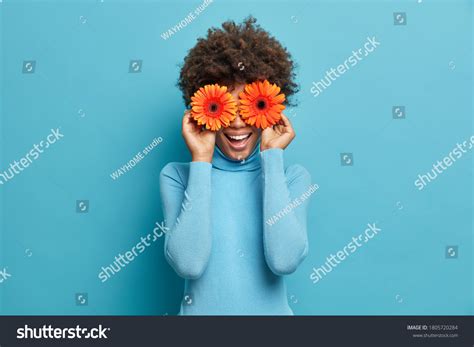 Funny Spring Photos Images And Pictures Shutterstock