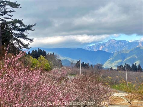 【台中】2023新春家族旅遊 武陵‧梨山‧福壽山 Day1 武陵農場、環山部落 Jun享樂誌｜hedonist Jun