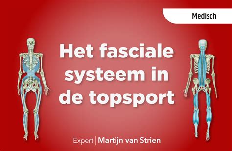 Martijn Van Strien Posted On Linkedin