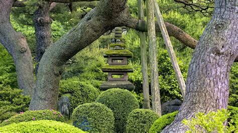 Download Wallpaper 2560x1440 Japanese Garden Stones Balance Trees Widescreen 169 Hd Background