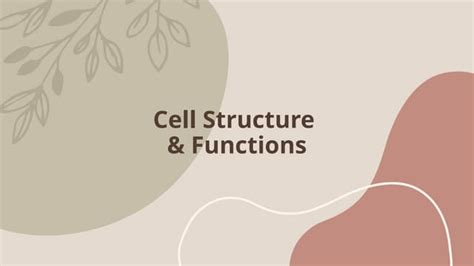 Cell Structure For Grade 9 Th 10thpptx