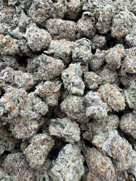 Platinum Gushers Smalls Platinum X Gushers Beautiful Bc Flowers