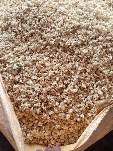 Green Dried Lemongrass Leaves Leafs Packaging Size 10 Kg At Rs 25
