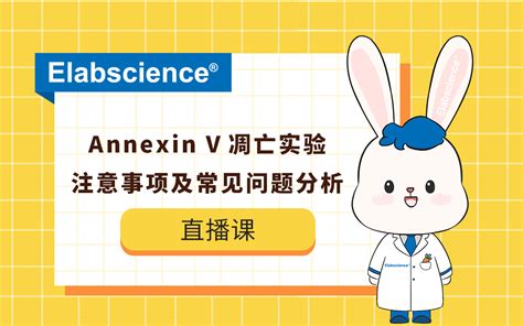Annexin V Pe 7 Aad细胞凋亡检测试剂盒（e Ck A216） Elabscience伊莱瑞特【官网】