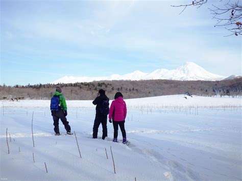 生活達人 Klook客路 北海道自由行 知床冬季戶外活動一日體驗 日本旅遊 北海道唯一被列為世界遺產的知床半島